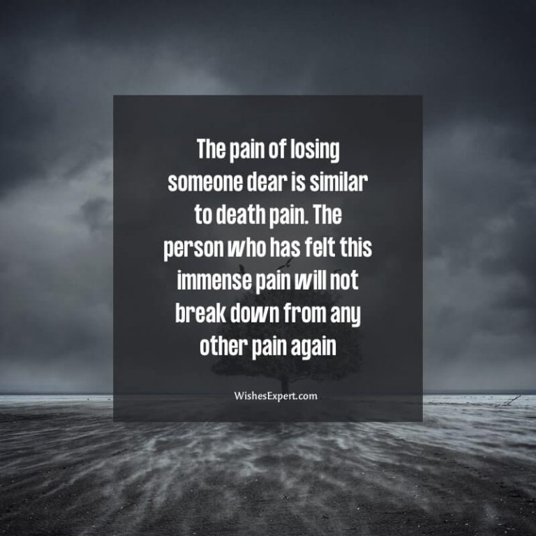 30+ Heartfelt Death Anniversary Quotes