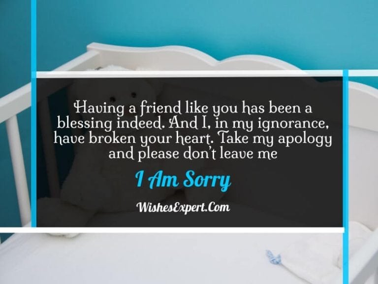 60+ I’m Sorry Quotes And Messages For Perfect Apology