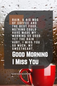 25+ Good Morning Miss You Quotes For Loving One