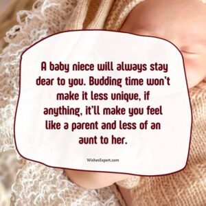35 Beautiful I Am Blessed With A Niece Quotes