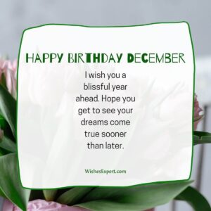25 Best Happy Birthday December Wishes And Messages