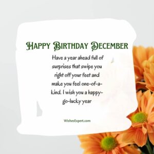 25 Best Happy Birthday December Wishes And Messages