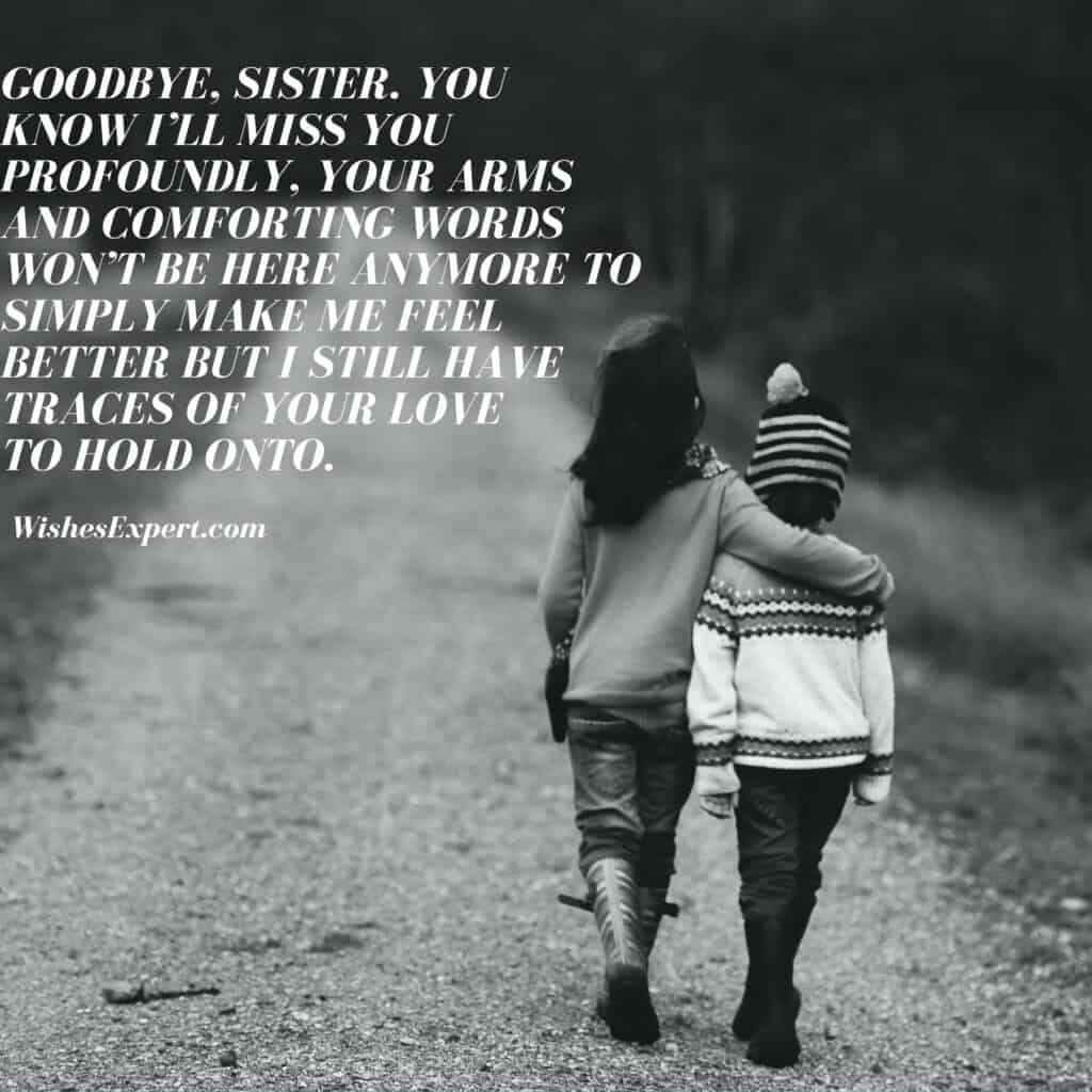 50 Missing A Sister Who Died Quotes To Find Solace